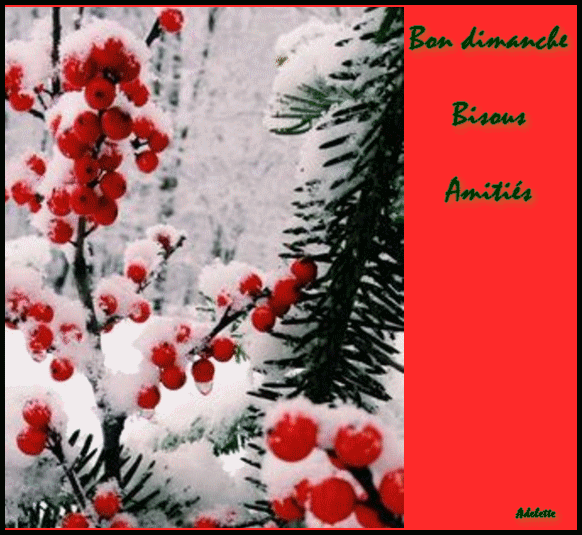 bon dimanche - Page 16