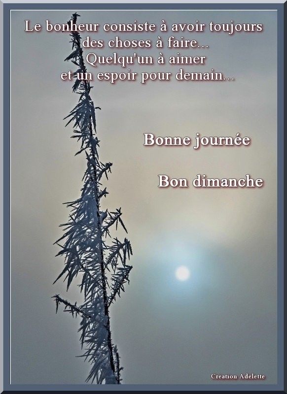 bon dimanche - Page 13