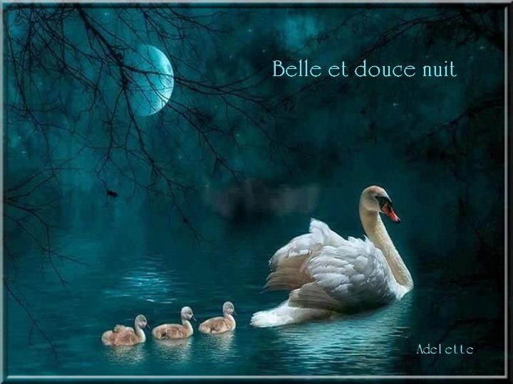 Belle et douce nuit